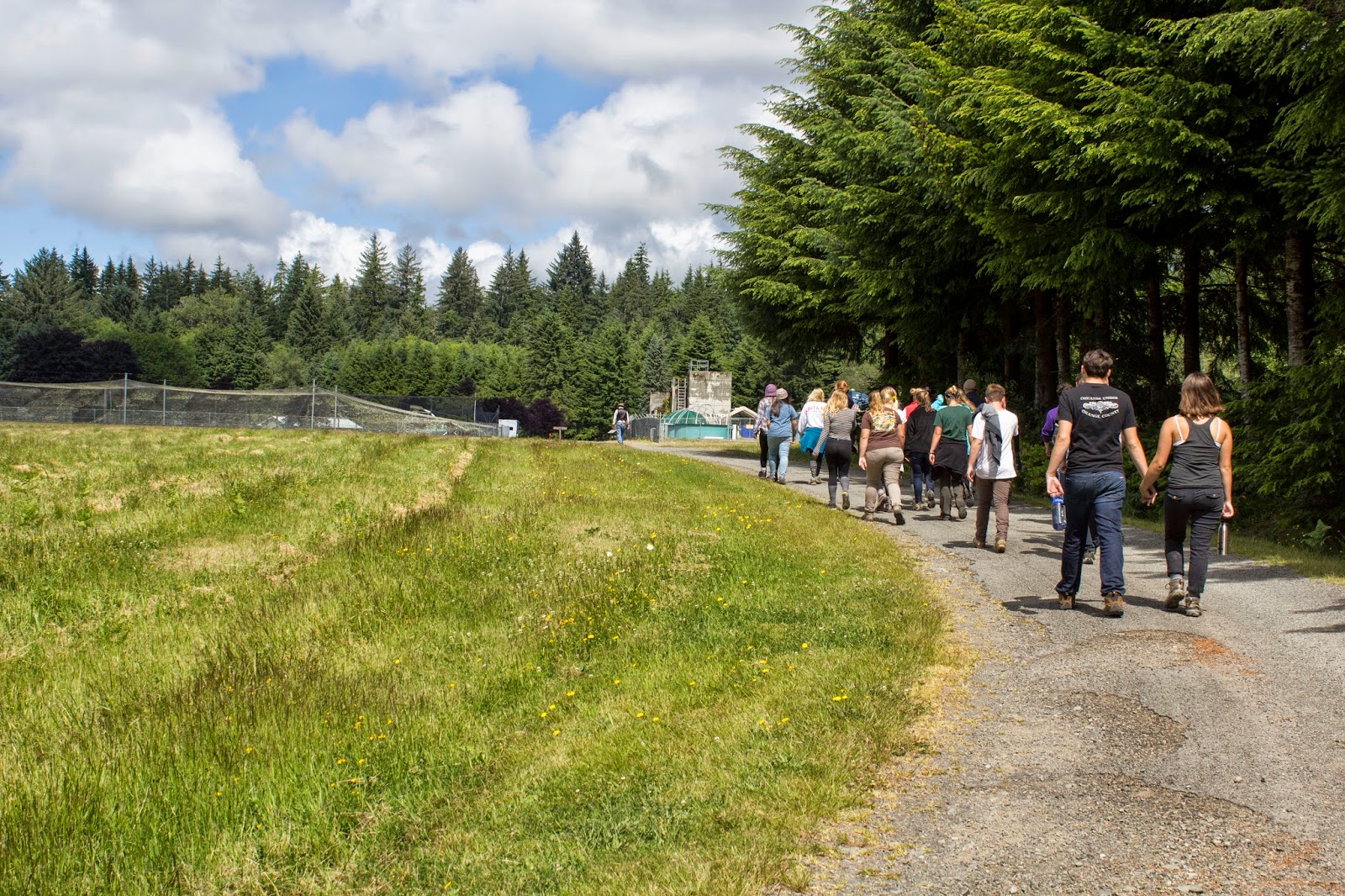 Madeline Jones Photography : Nature Bridge~Olympic National Park, WA