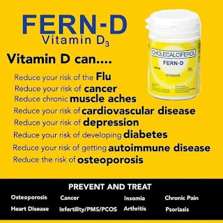 i-FERN PRODUCTS: 2019