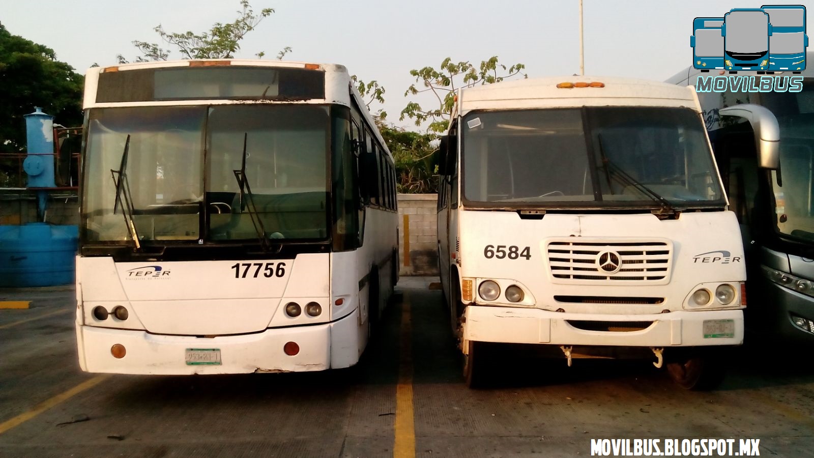 Fotos de los autobuses de la flota de Transporte Especializado de ...