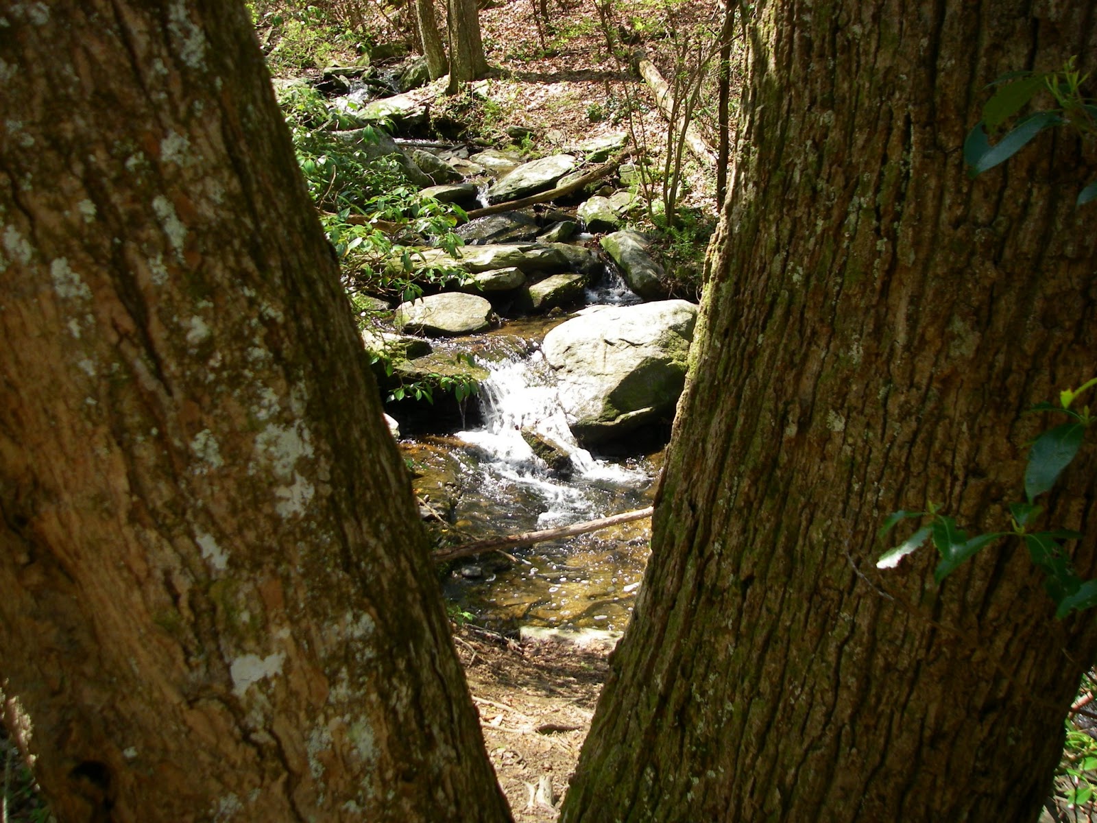 Fort Mountain State Park, Georgia