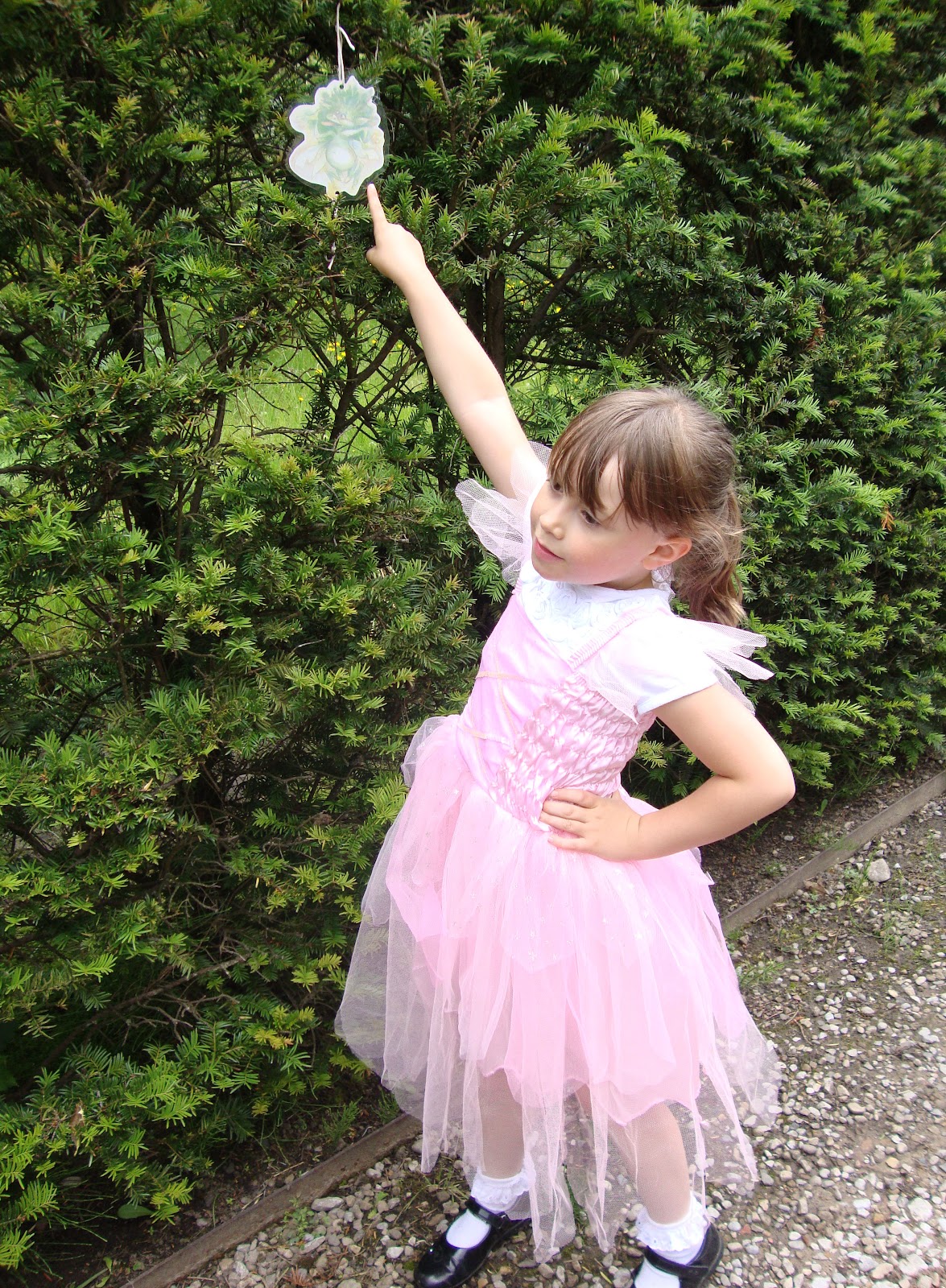 Podheim: Fairy Hunting at Biddulph Grange Garden