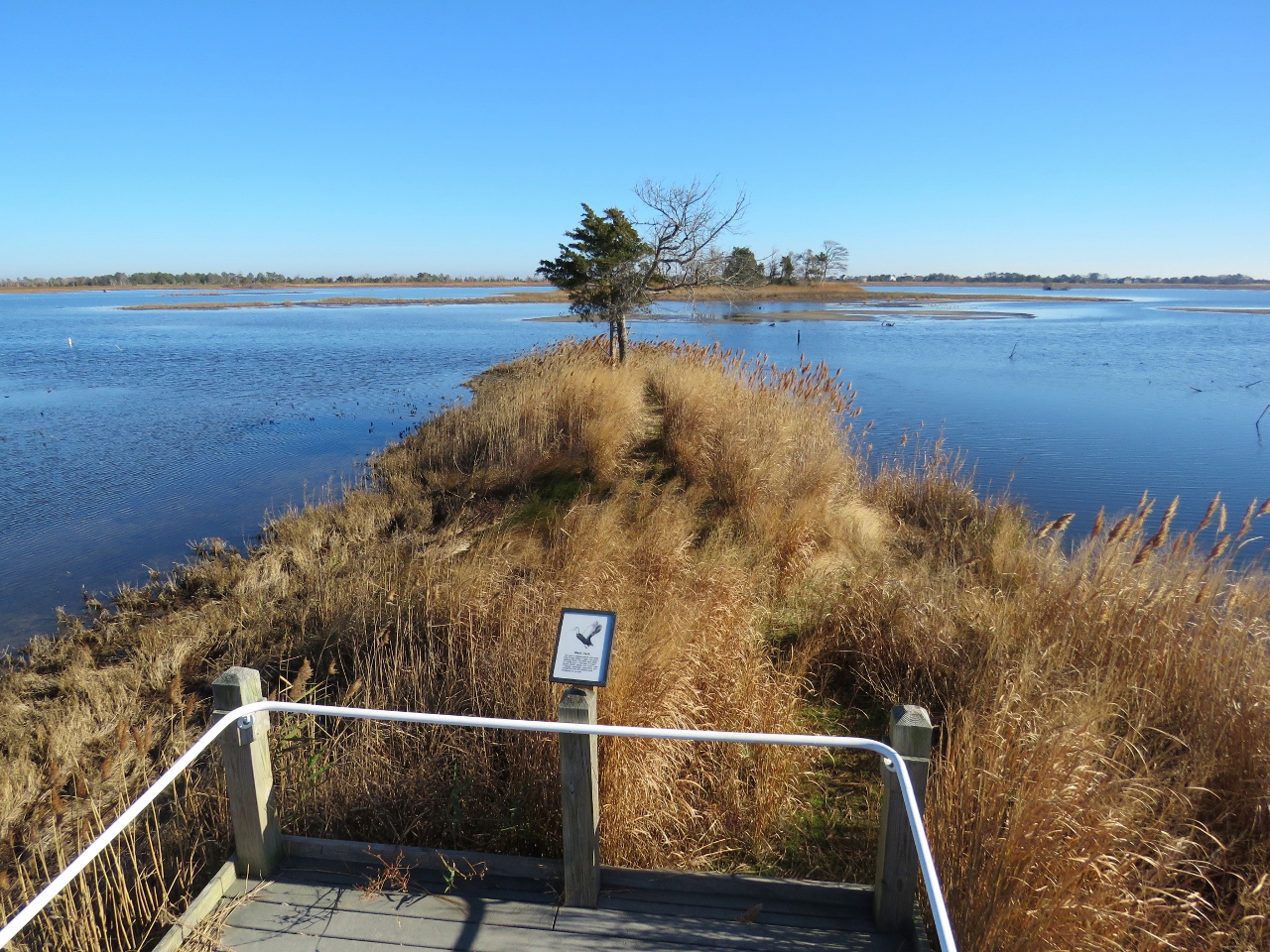 Gone Hikin': Prime Hook National Wildlife Refuge, DE