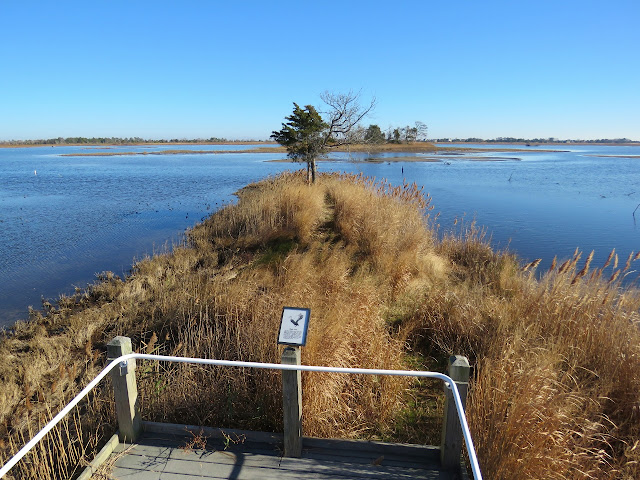 Gone Hikin': Prime Hook National Wildlife Refuge, DE