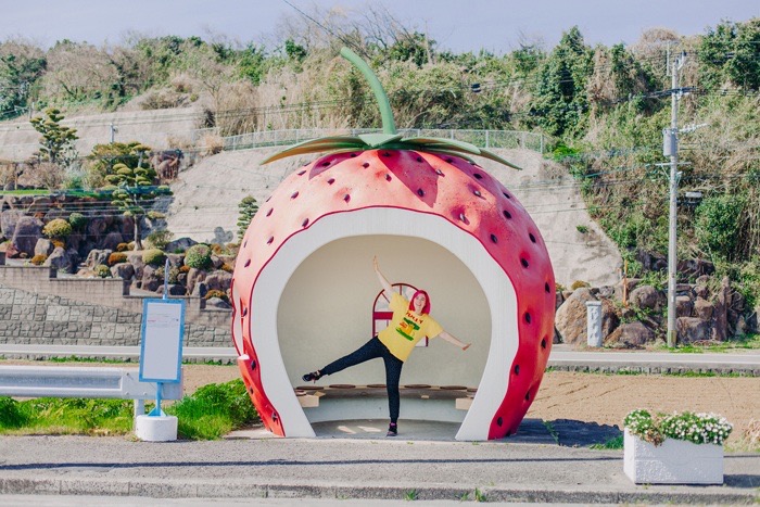 Burntfeather: Japan Road Trip - Fruit Bus Stops