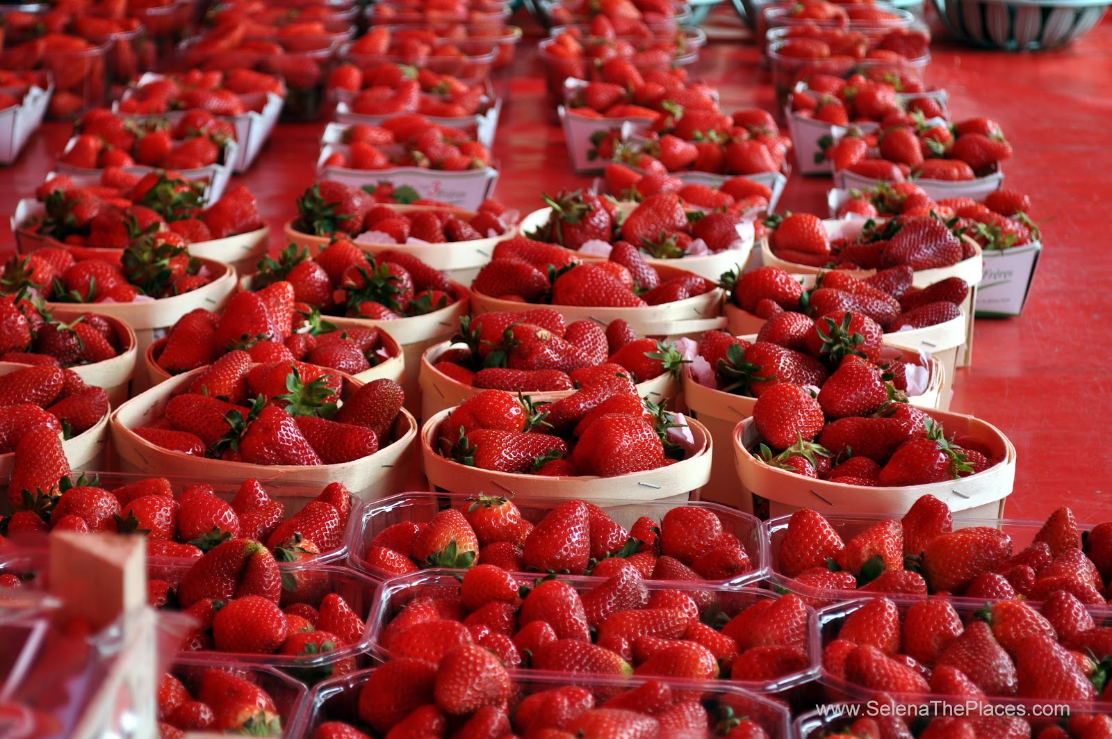 Oh, the places we will go!: The Cuisine of Dunkirk, France