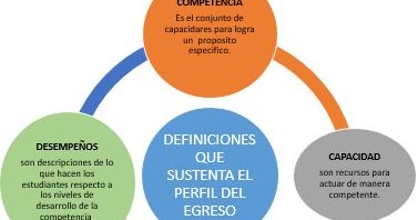 DEFINICIONES CLAVES QUE SUSTENTAN EL PERFIL DEL EGRESO