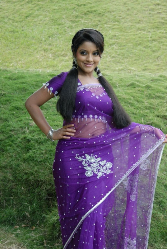 Tamil Actress Padmini Beautiful Purple Saree Photoshoot Without Water ...