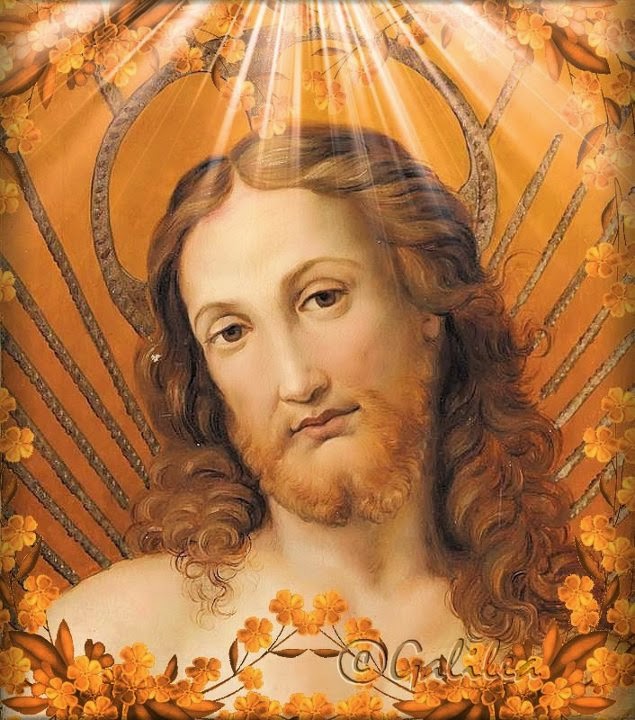 ® Blog Católico Navideño ®: IMÁGENES DEL ROSTRO DE JESÚS