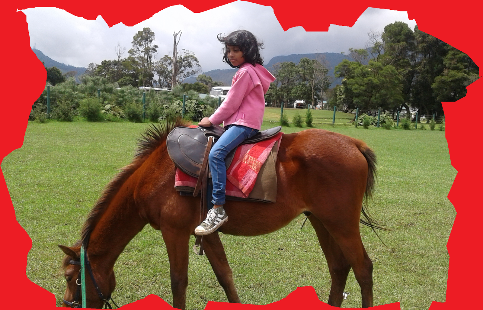 This summer...: "How to Ride a Pony"