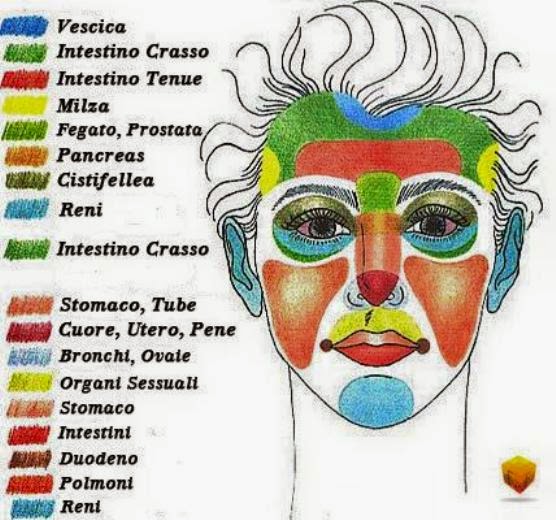 Informati, Italia: Il viso riflette la salute degli organi. Ecco le ...