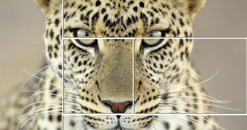 Girfa : Student Help: frame collage effect