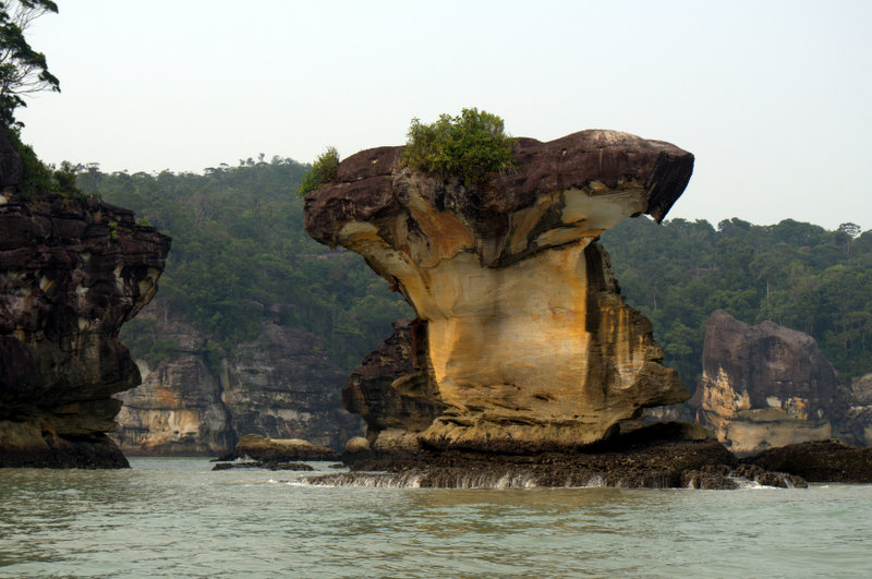 The day flew by so fast it was a blur...: Bako National Park