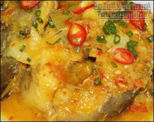HaSue: I Love My Life: Ikan Tapah Masak Tempoyak