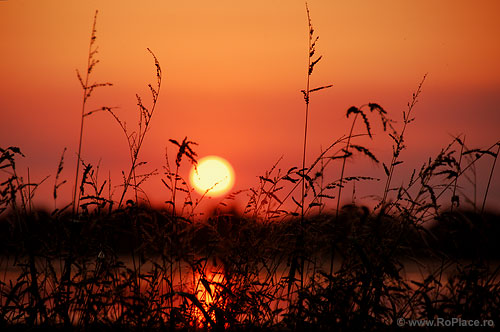 Nita Raluca-Elena.: Apus de soare in imagini....