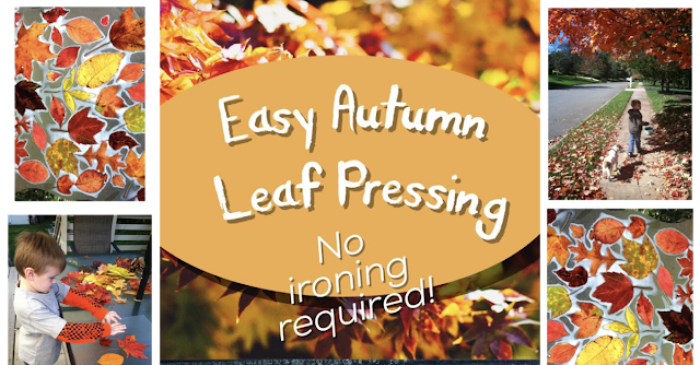 Easy Autumn Leaf Pressing: No Ironing Required! | The Jersey Momma