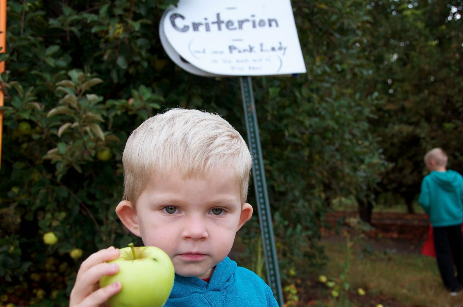 Sole Searching Mama Apple Picking Adventures And A Recipe That Will Double Your Love For Fall