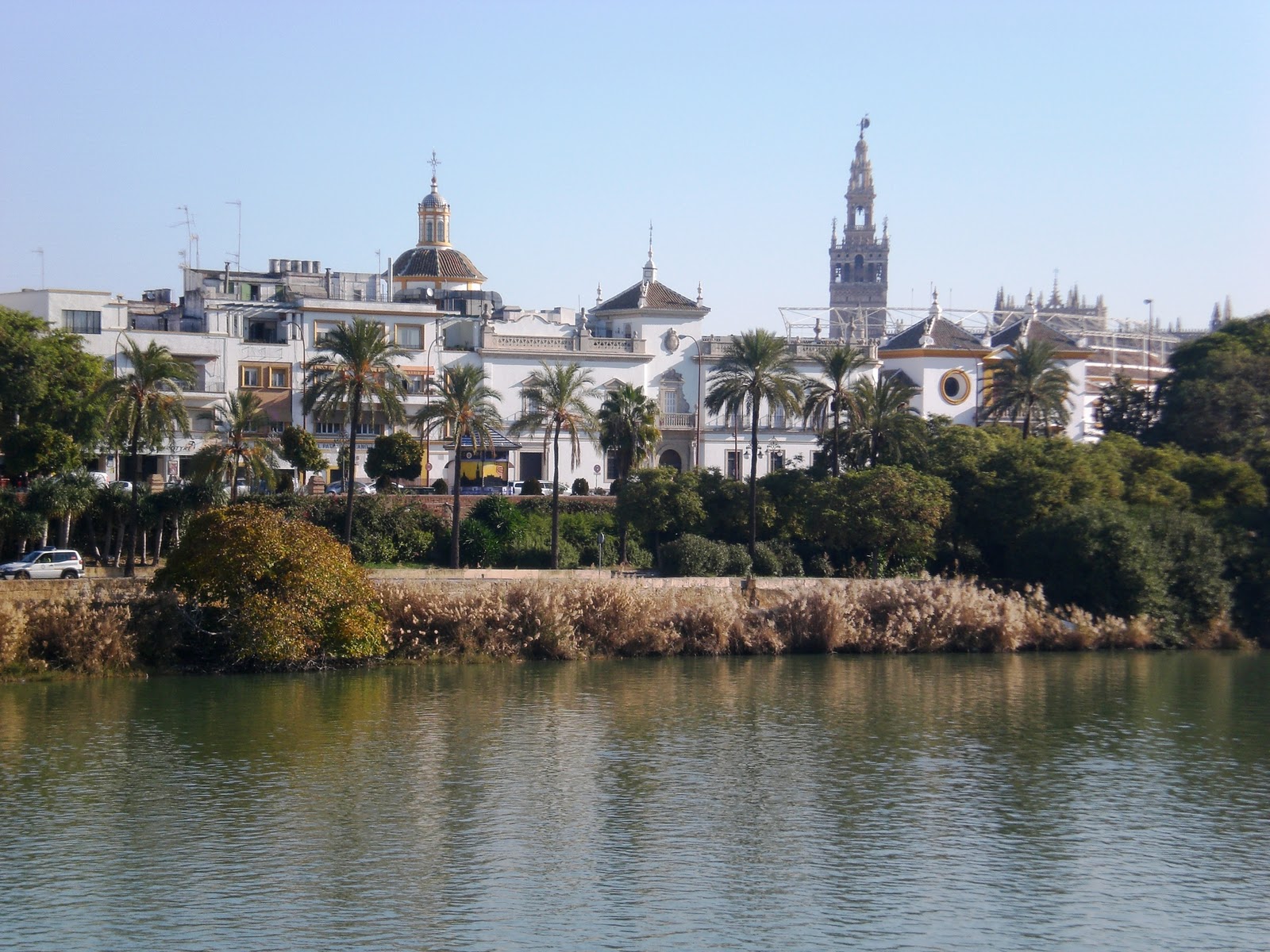 Días de aplomo: RÍO DE SEVILLA