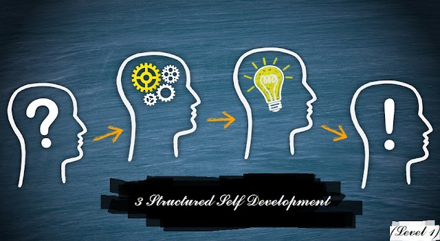 3 Structured Self Development (Level 1) | Find Sharing