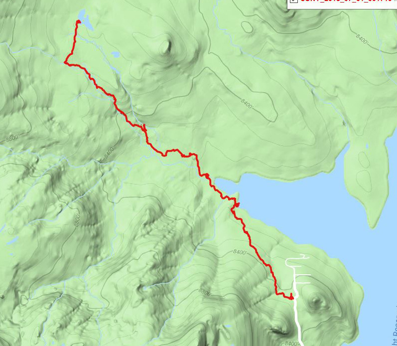 Mamma Quail Hiking California : Alone in the Wilderness Once More: From ...