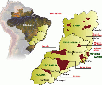 Coffee production in BRAZIL.