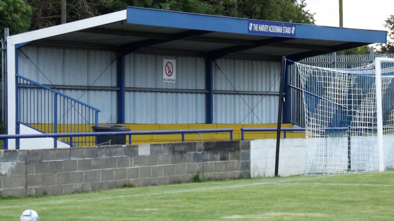The Wycombe Wanderer: Wingate & Finchley - Harry Abrahams Stadium