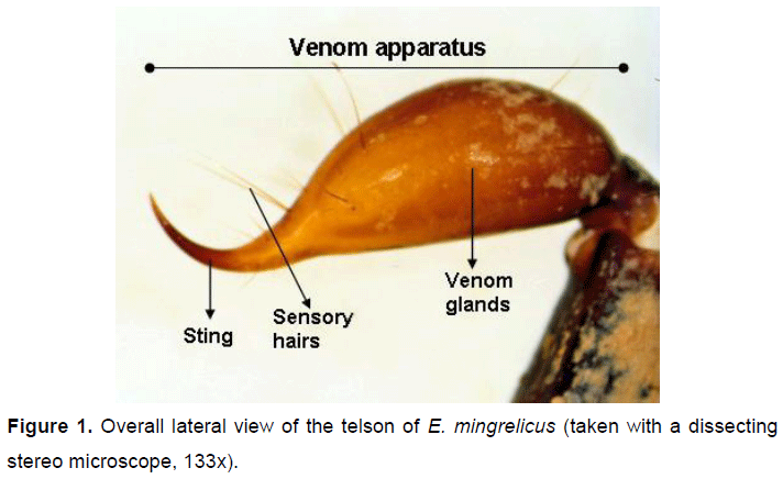 LA CIENCIA DE LA VIDA: 11/2014