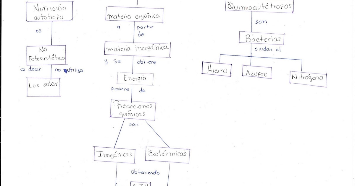 Mapa "Quimiosintesis"