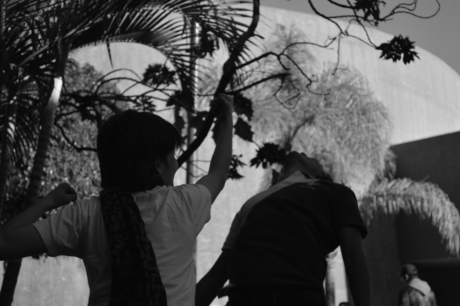 Congelados y barridos