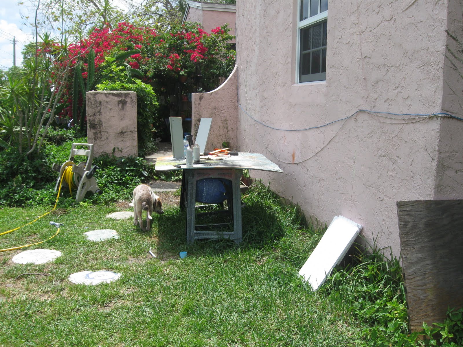 Life in Rehab: What's Blooming in My Redneck Yard?