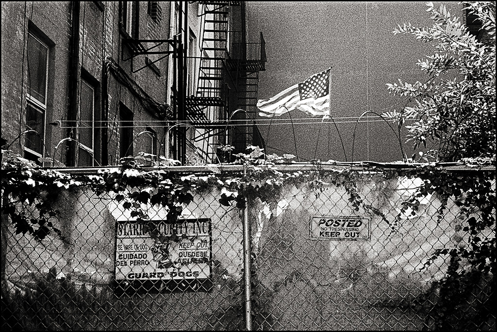 A Special Day With David Lykes Keenan - The Photographer