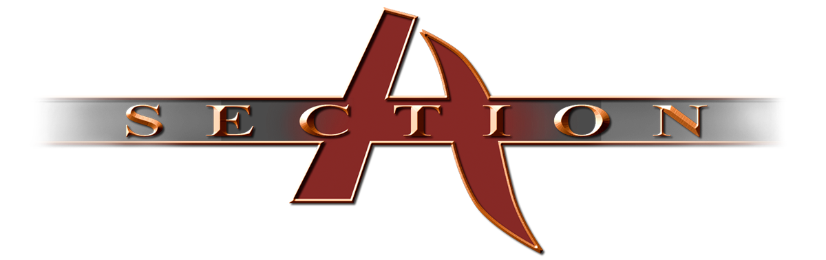 Entrevista: Section A