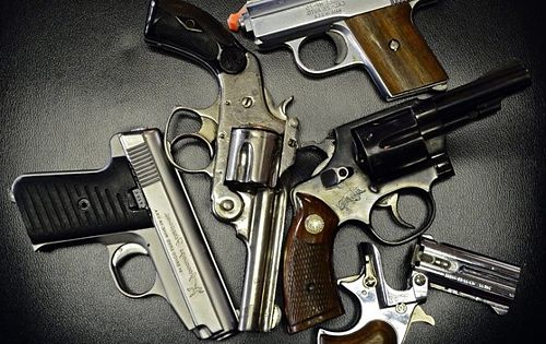 Serpientes y armas: la percepción del peligro | Anexo Virtual