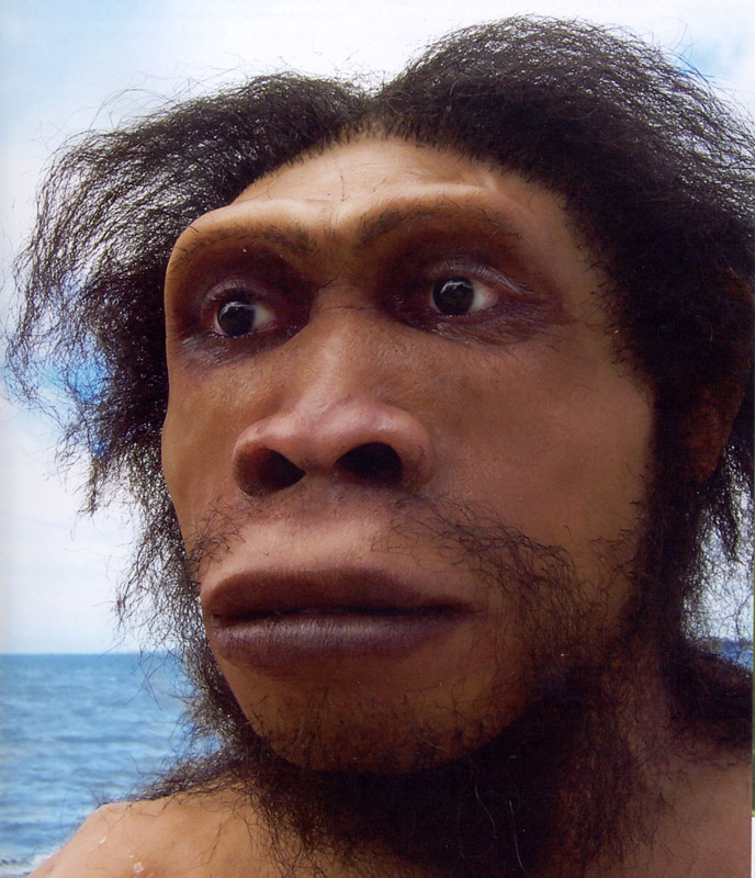 Dirk Drubbel: De weg naar Homo sapiens ( deel 3 : De eerste Homo ...