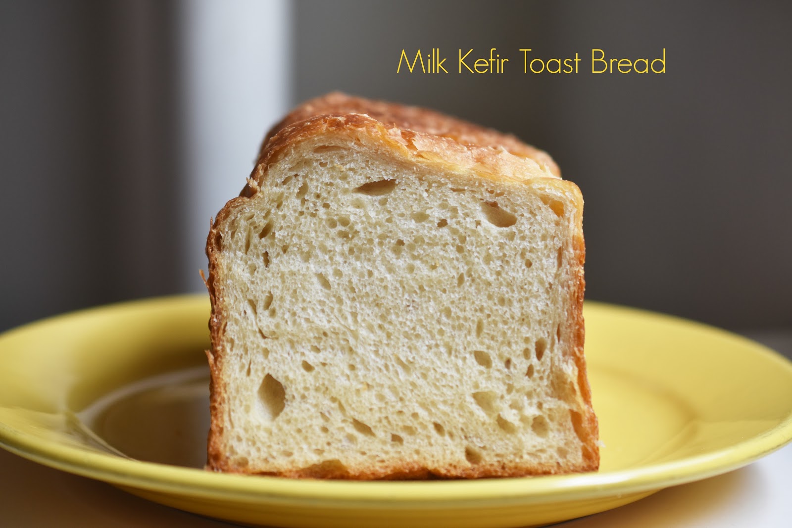 Milk Kefir Bread | Projects by Jane