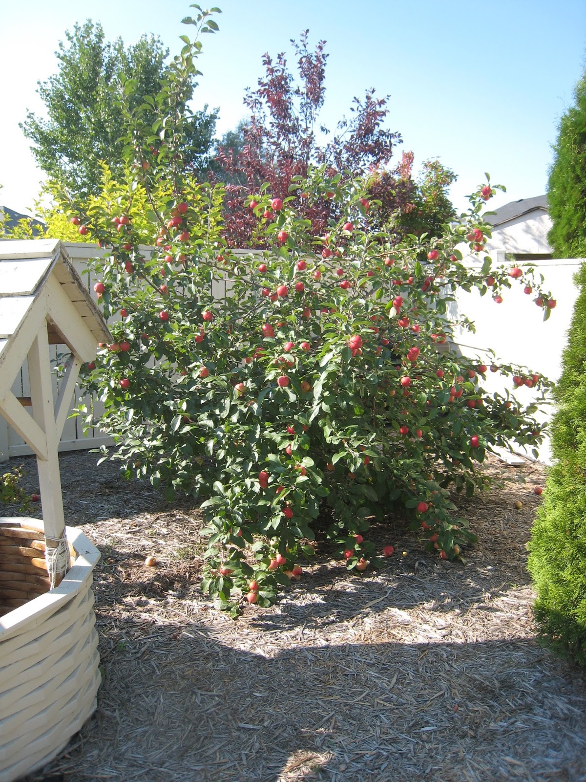 Leslie Ruo's Blog: August 2013