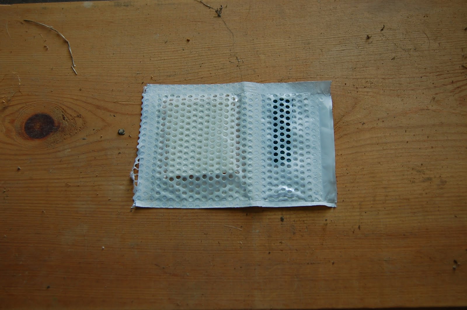 Crosswinds Farm: Fun with Japanese Beetles! Caution, this doesn't end ...