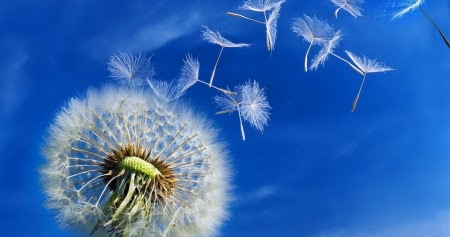 Devocionais e Reflexões: O vento sopra onde quer...