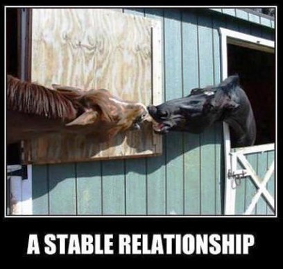 Funny pics, quotes and jokes: Stable relationship