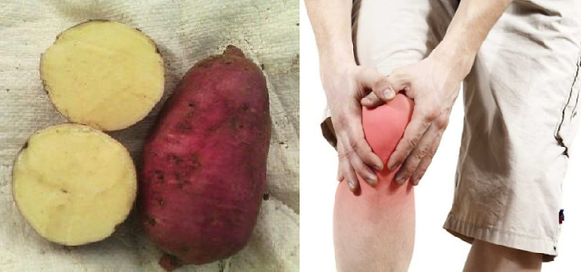 Luar Biasa !!! Hanya Gunakan 200 gr Ubi Jalar Merah, Dalam Sehari Saja ...