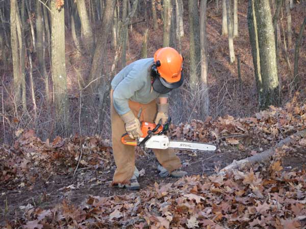 Tom's Blog: Making fire break for spring burn