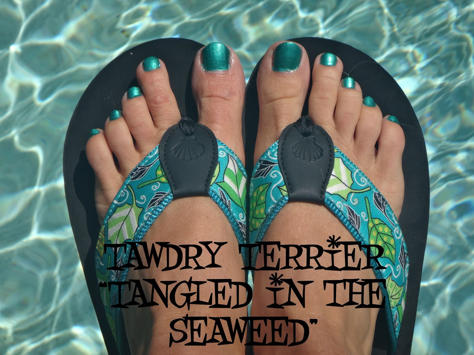 Tawdry Terrier: Tawdry Terrier "Tangled in the Seaweed"