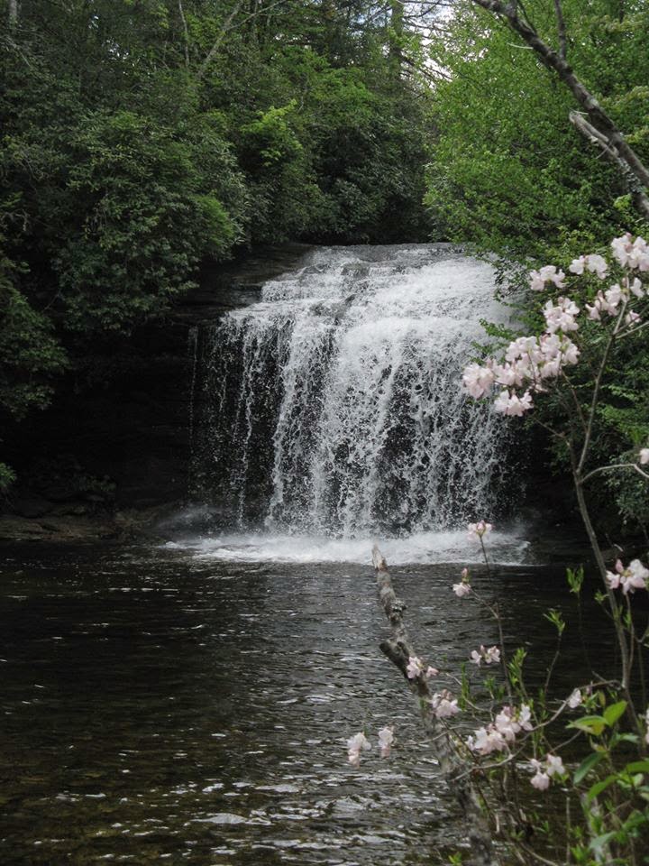SAPS-NCGA: Panthertown Valley hike with Dan Pittillo