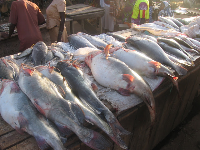 MWAIPAYA HARAKATI ZA HABARI: WILSON KAZAURA ASHUSHA MZIGO MPYA WA ...