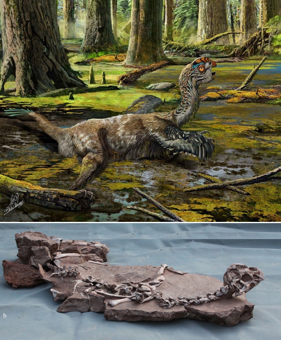 Species New to Science: [Paleontology • 2016] Tongtianlong limosus • A ...