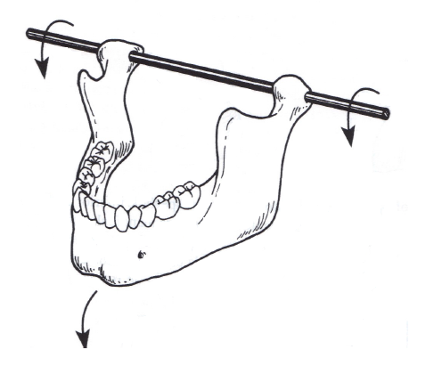 Biomecánica del Movimiento Mandibular | Facultad de Estomatologia