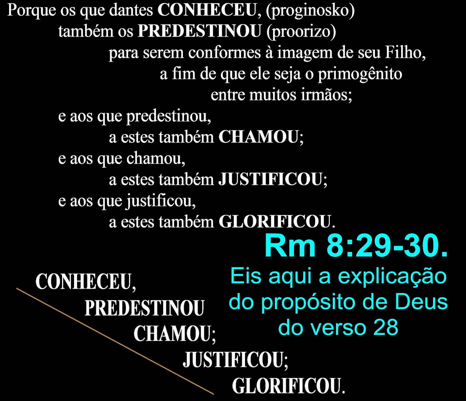 Predestinados para serem conforme à imagem de seu Filho ~ JAMAIS DESISTA!