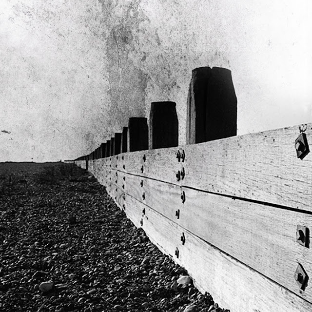 PURIFYING explorations