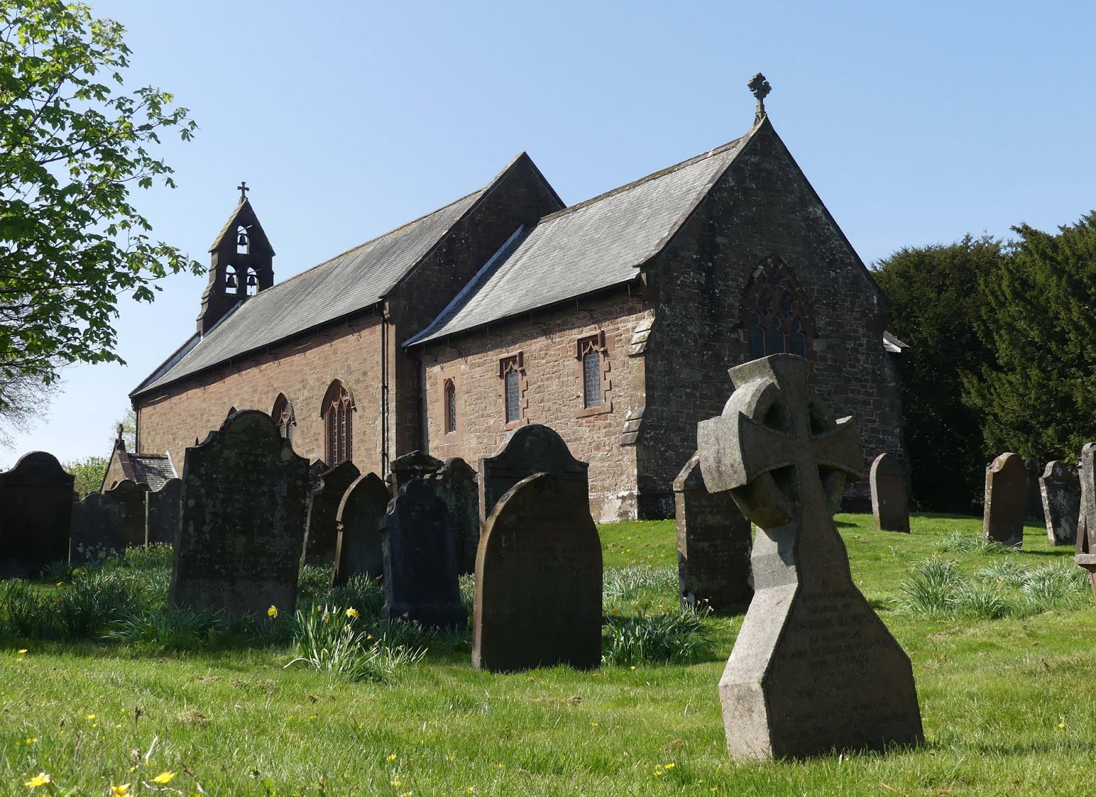 Julia Garner : Gosforth Norse Cross and Cork Oak