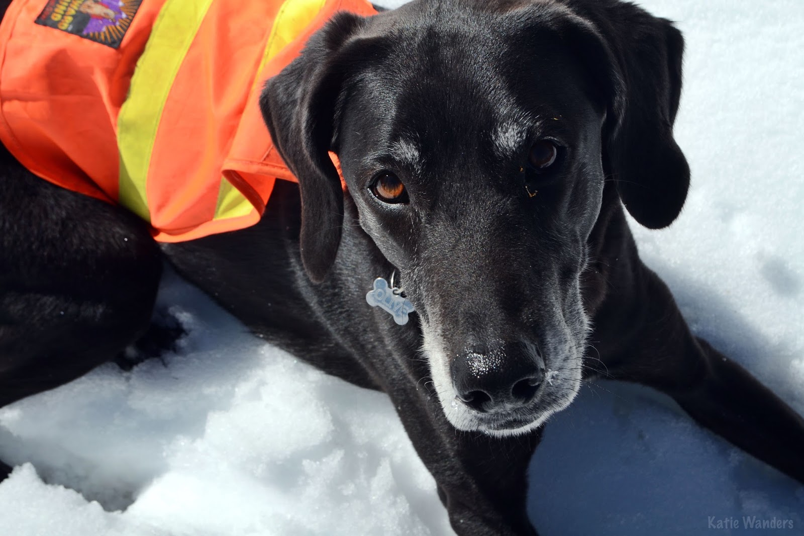 Katie Wanders : Malan's Peak - Ogden, Utah