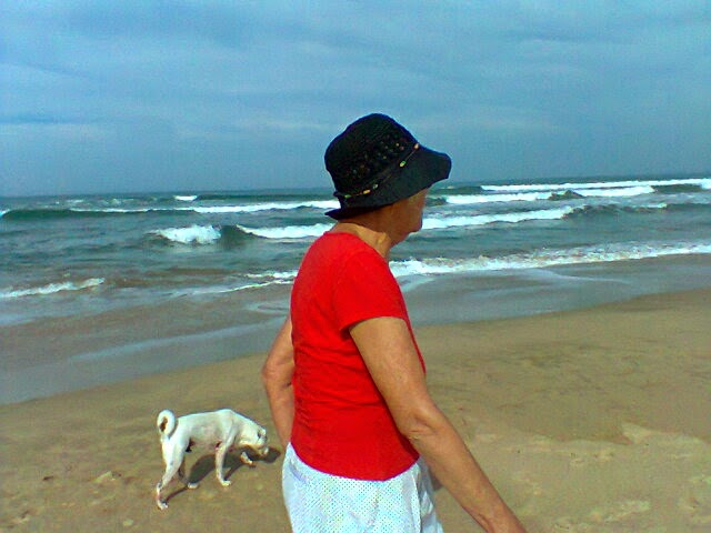 Jo's Space: THE BEAUTY OF BEGHA